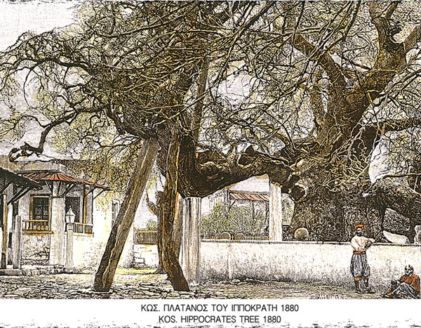 Nisyros Island Greece, The Official Travel Guide - Nisyrosinfo Travel ...